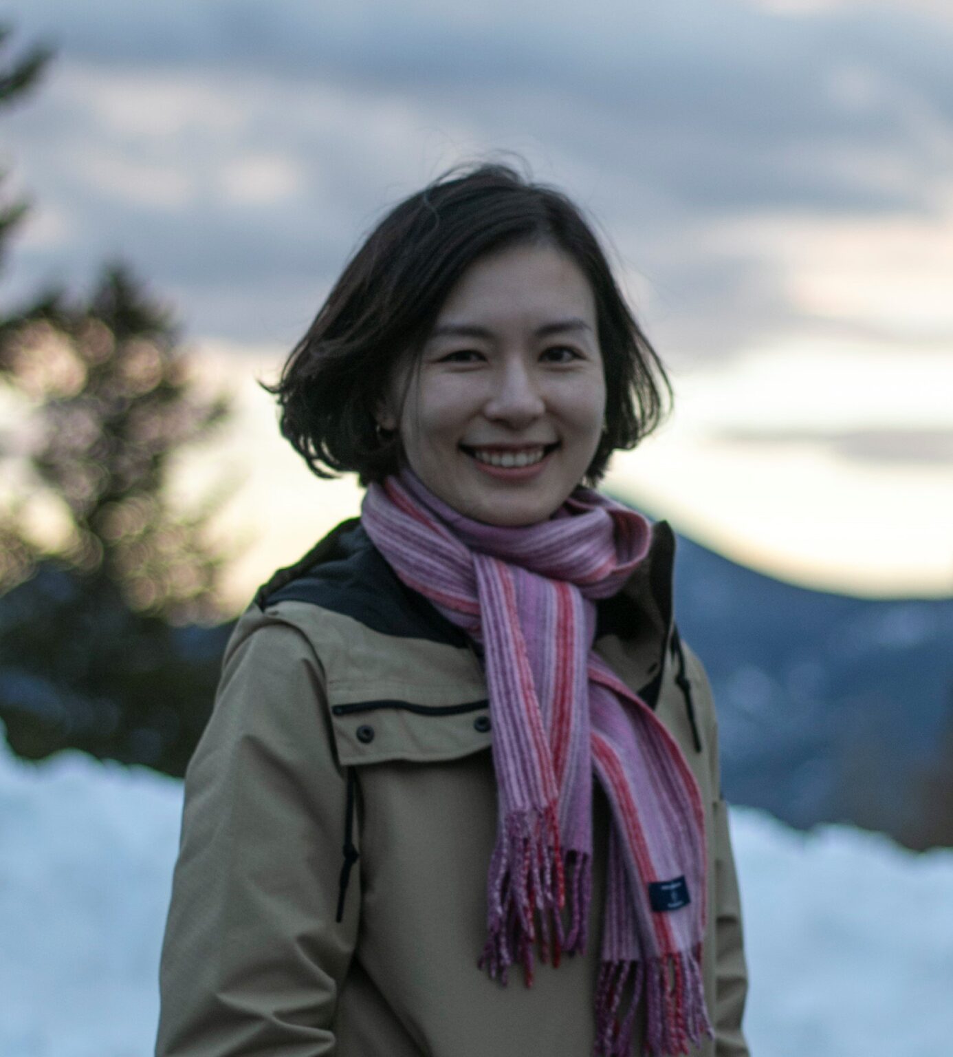 Dr. Nguyen Linh Dan - Trường Kinh tế